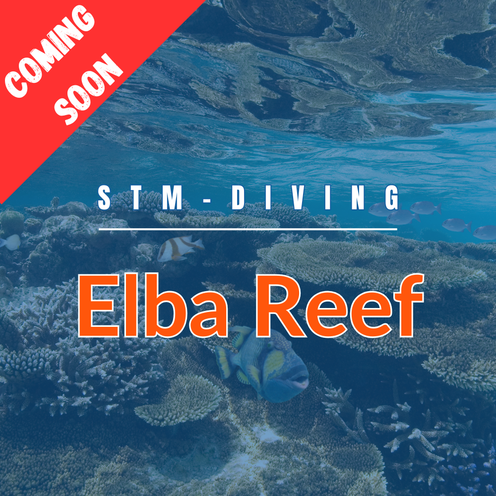 elba_reef_stm_soon - STM Diving